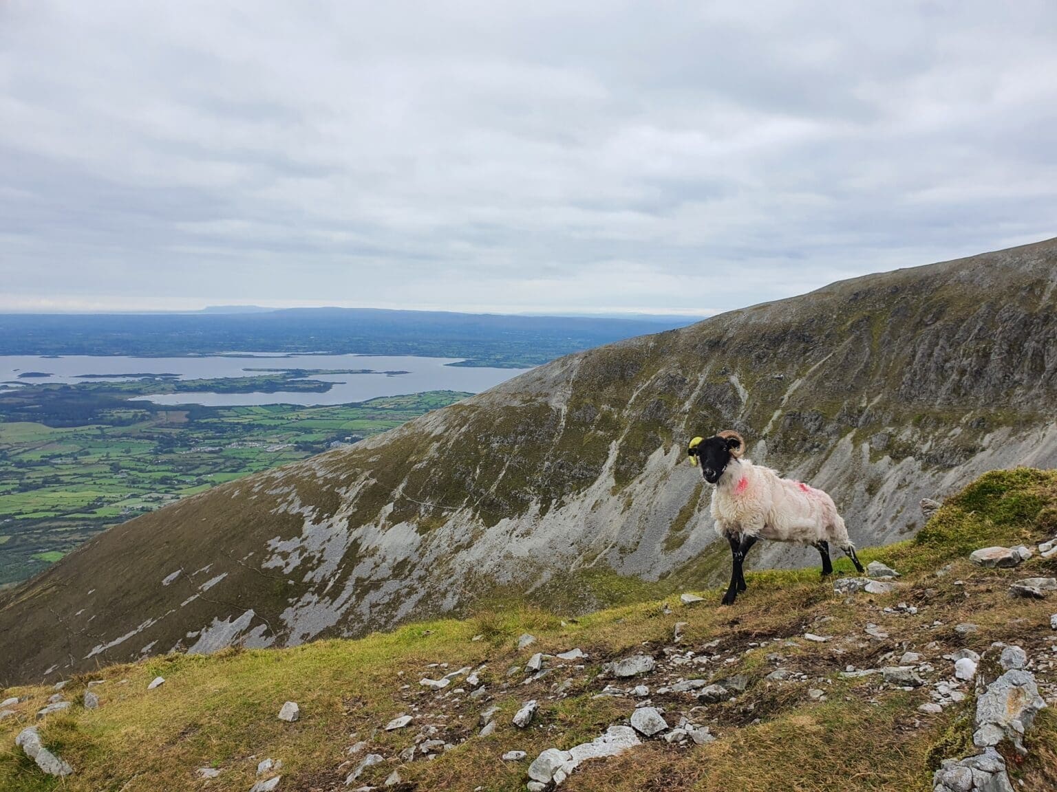 Conquering Nephin: A Walk to the Summit of County Mayo’s Iconic Peak